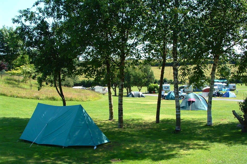 Whitehill Country Park - Hipcamp in Devon, England