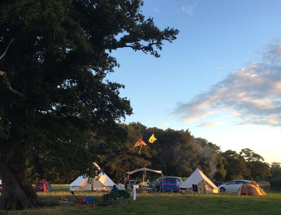 Snelling Farm Campsite - Hipcamp in Dorset, England