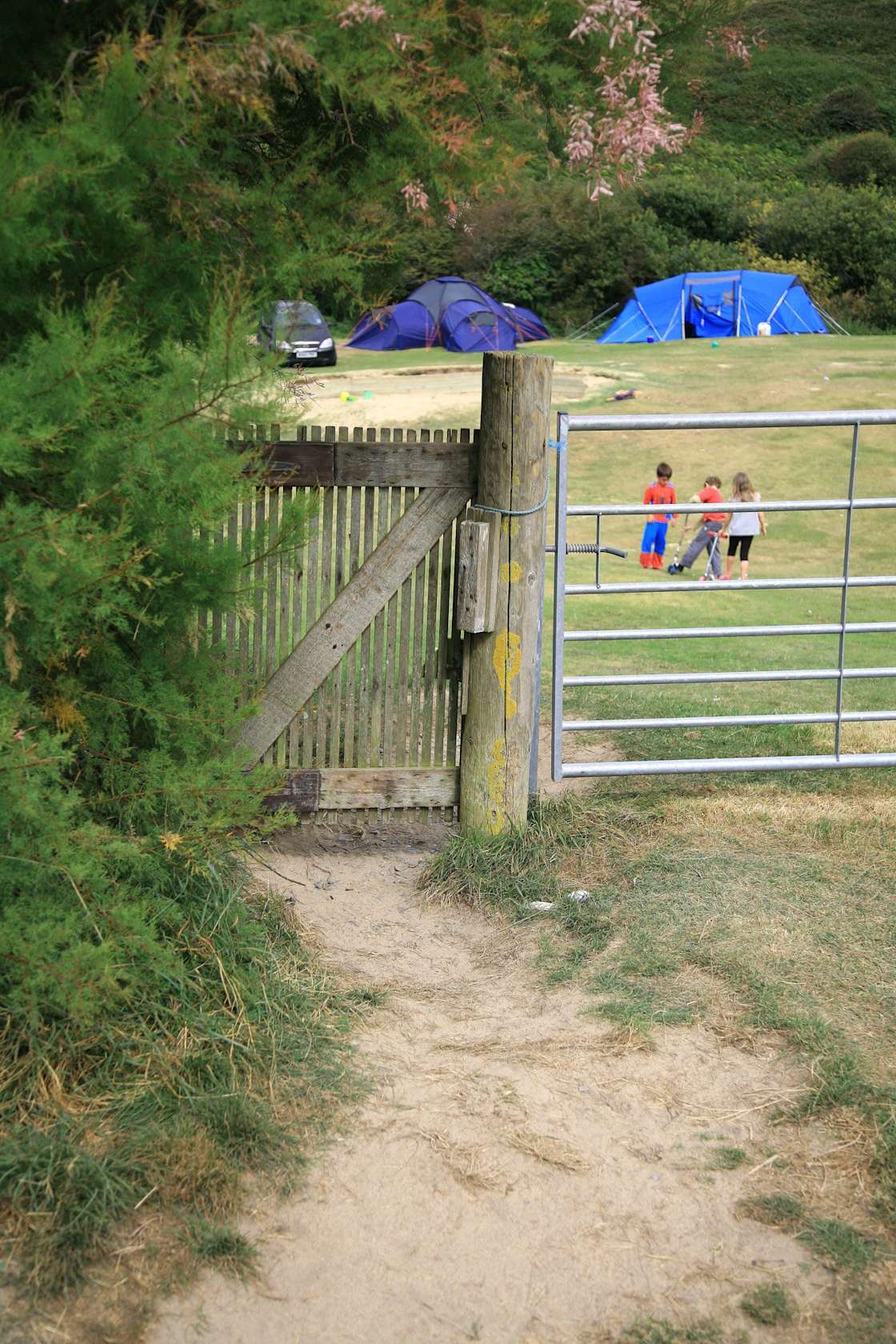 Porth Joke Campsite - Hipcamp in Cornwall, England