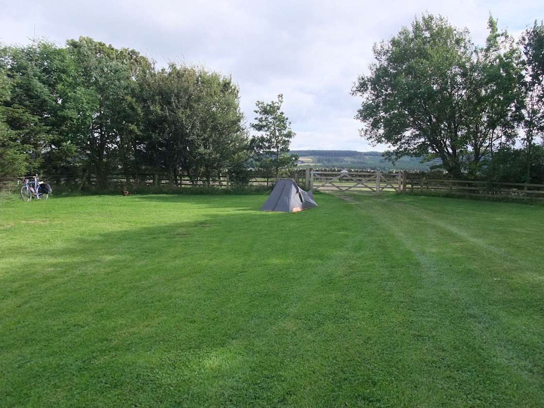 Rye Hill Farm - Hipcamp in Northumberland, England