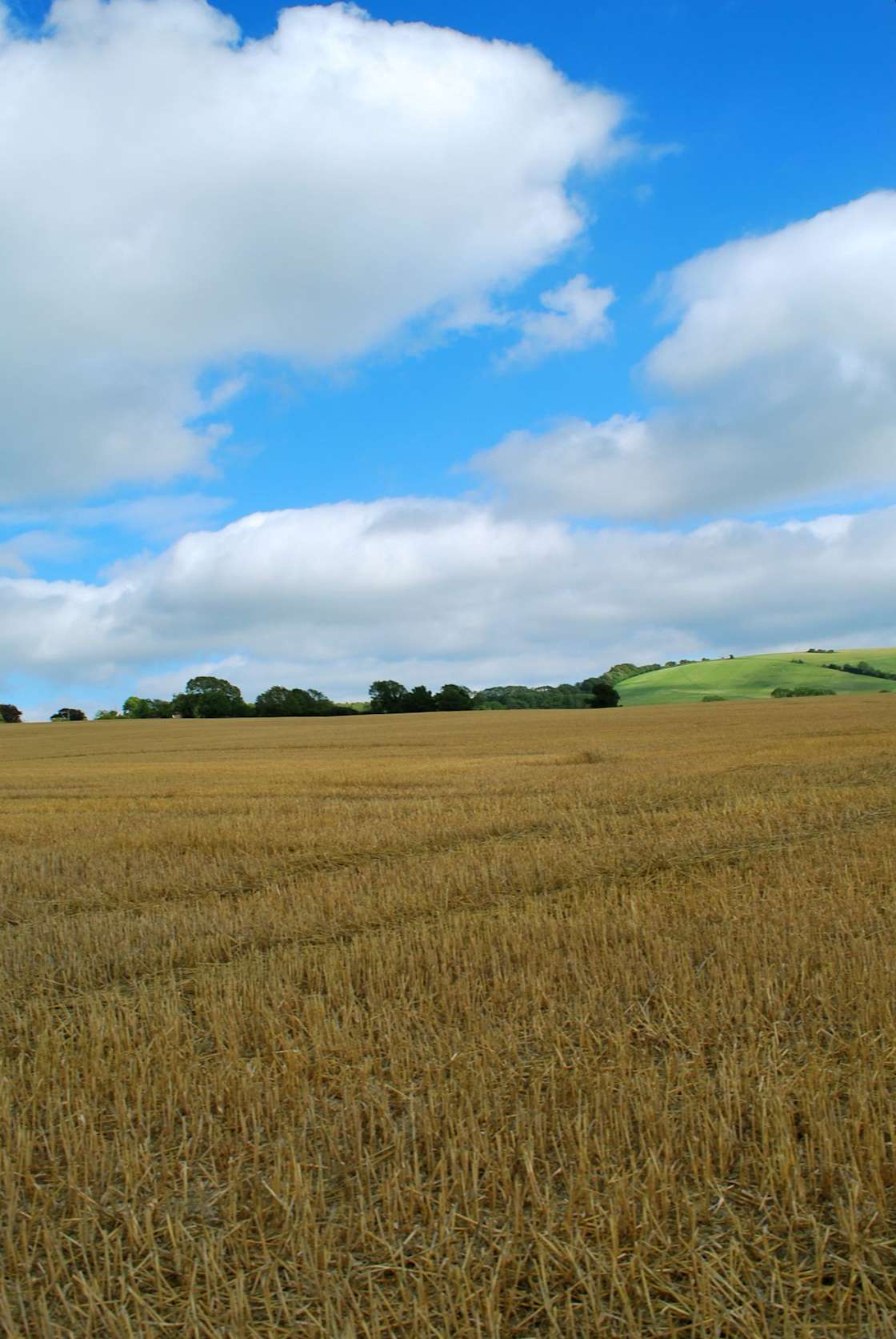 Meon Springs - Hipcamp in Hampshire, England