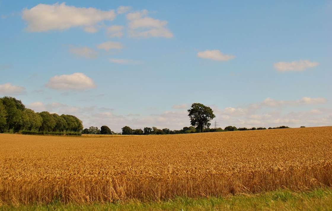 Meon Springs - Hipcamp in Hampshire, England