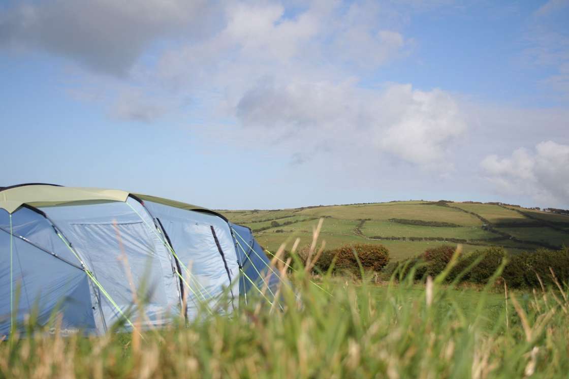 Caffyns Farm - Hipcamp in Devon, England