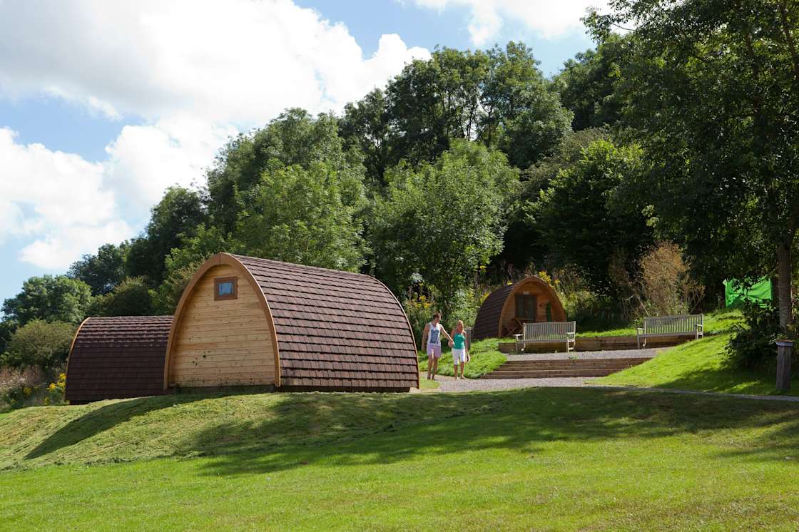 Whitehill Country Park - Hipcamp in Devon, England