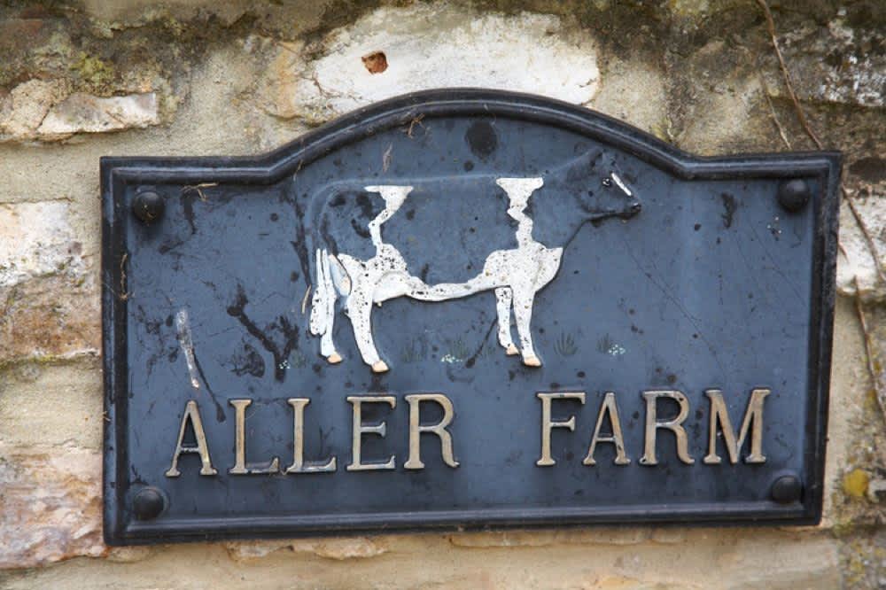 Aller Farm Glamping - Hipcamp in Devon, England