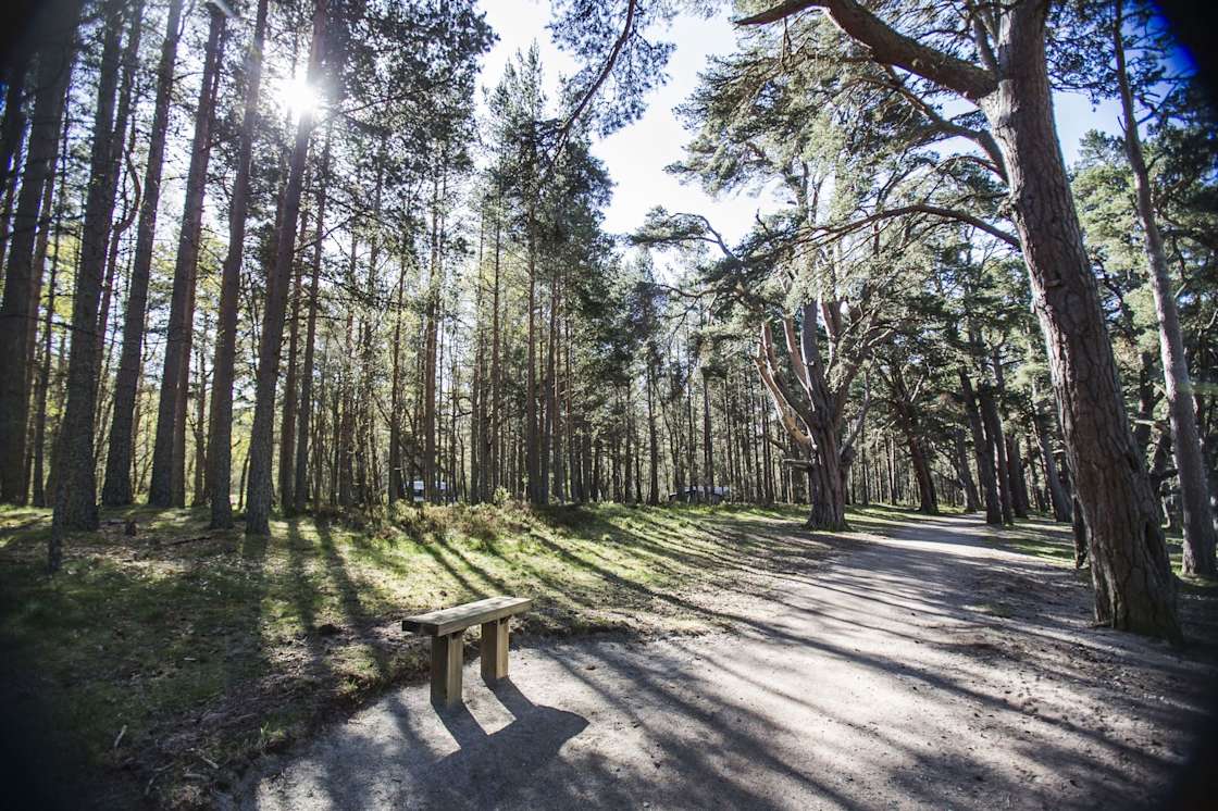 Glenmore Camping - Hipcamp in Inverness, Scotland
