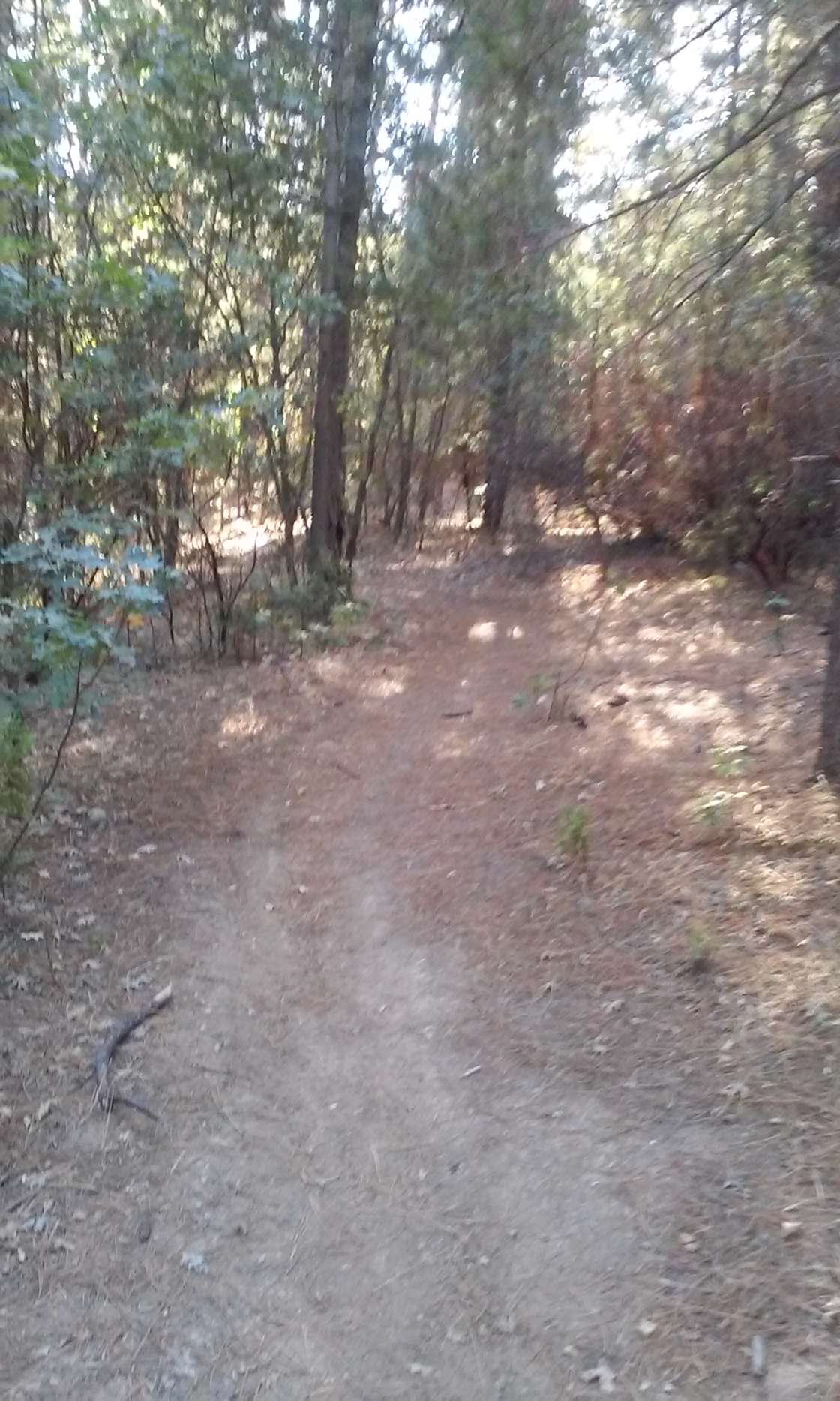 Wilderness Mariposa - Hipcamp in Greeley Hill, California