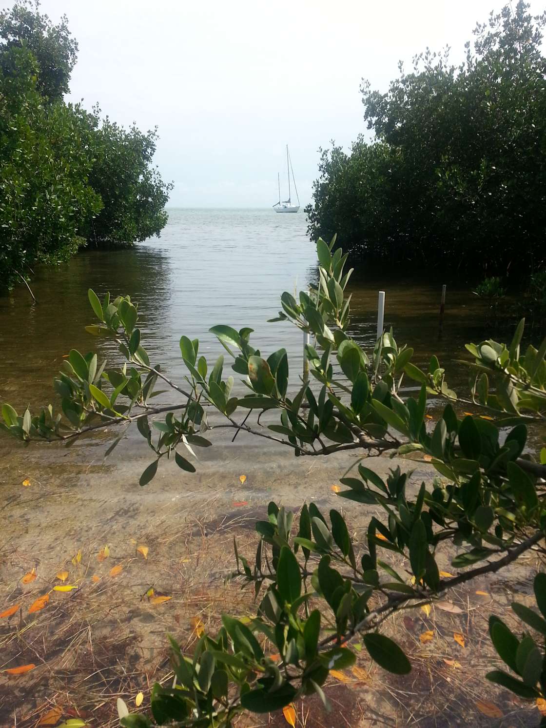 Cow Key - Hipcamp in Key West, Florida