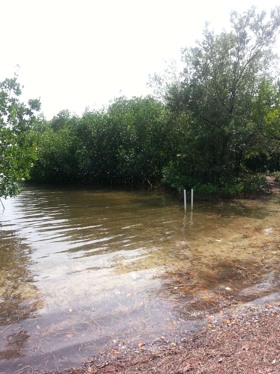 Cow Key - Hipcamp in Key West, Florida