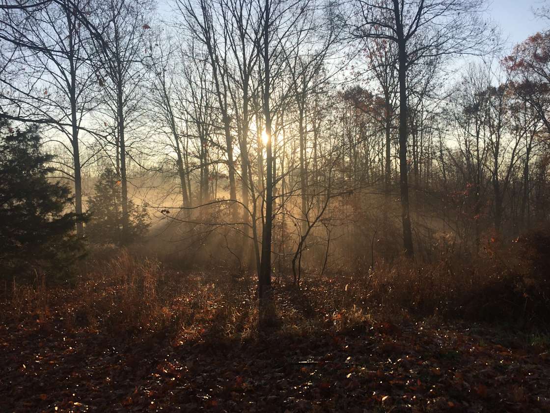 Forest Gully Farms - Hipcamp in Santa Fe, Tennessee