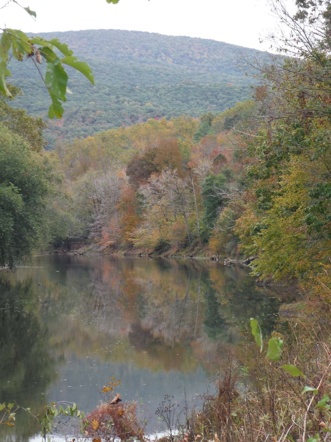 Riverside Mountain Retreat - Hipcamp in Bloomery, West Virginia