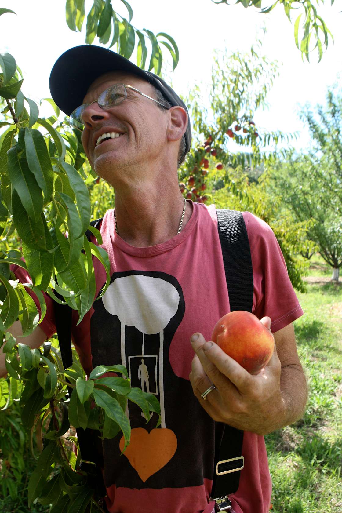 Be Love Farm - Hipcamp in Vacaville, California