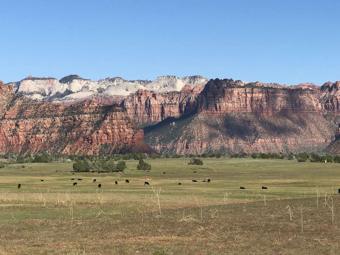 Zion Wright Ranch Eco-Camp - Hipcamp in Virgin, Utah