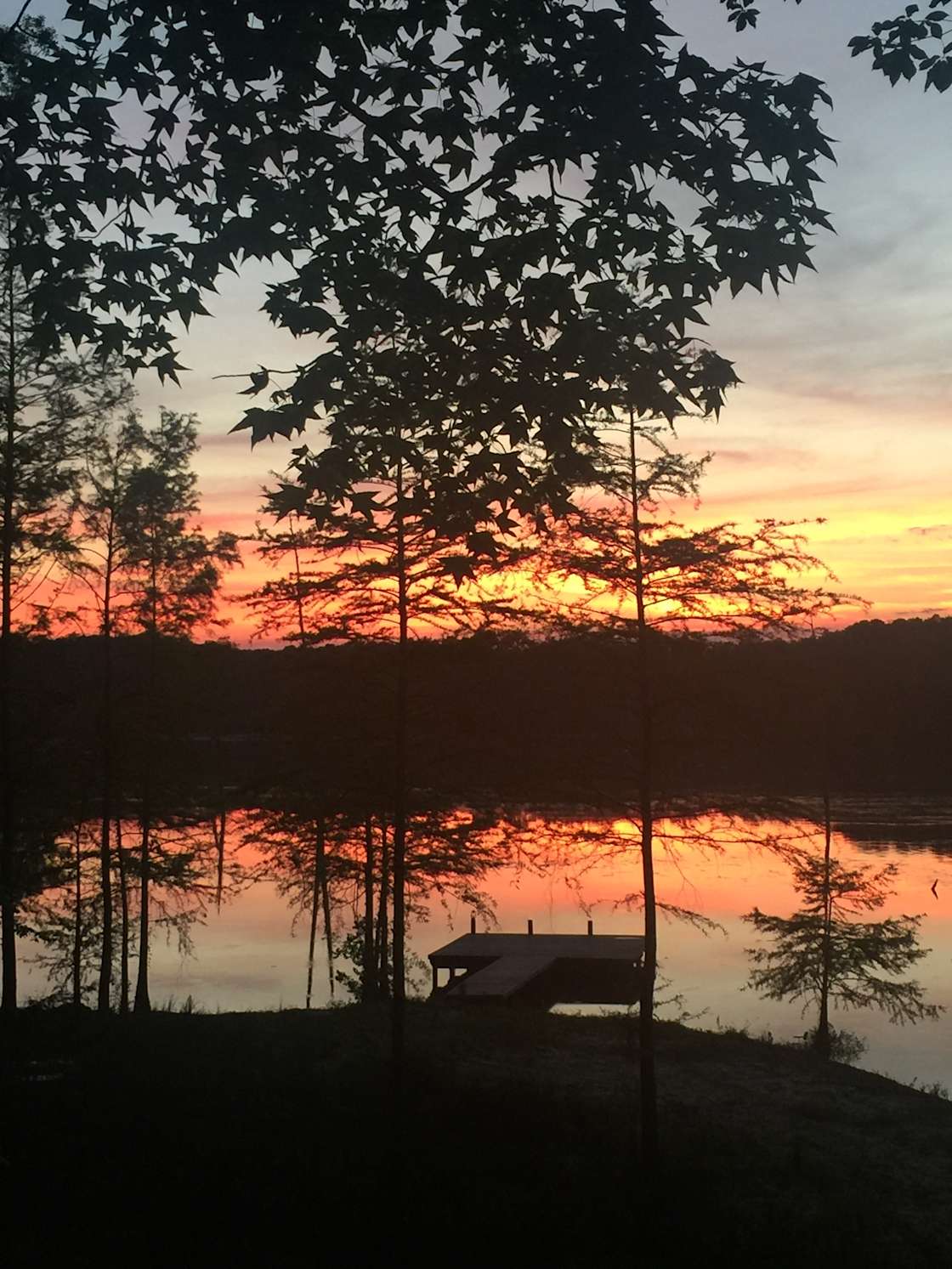 Lake Darbonne Bayou Adventure - Hipcamp in Farmerville , Louisiana