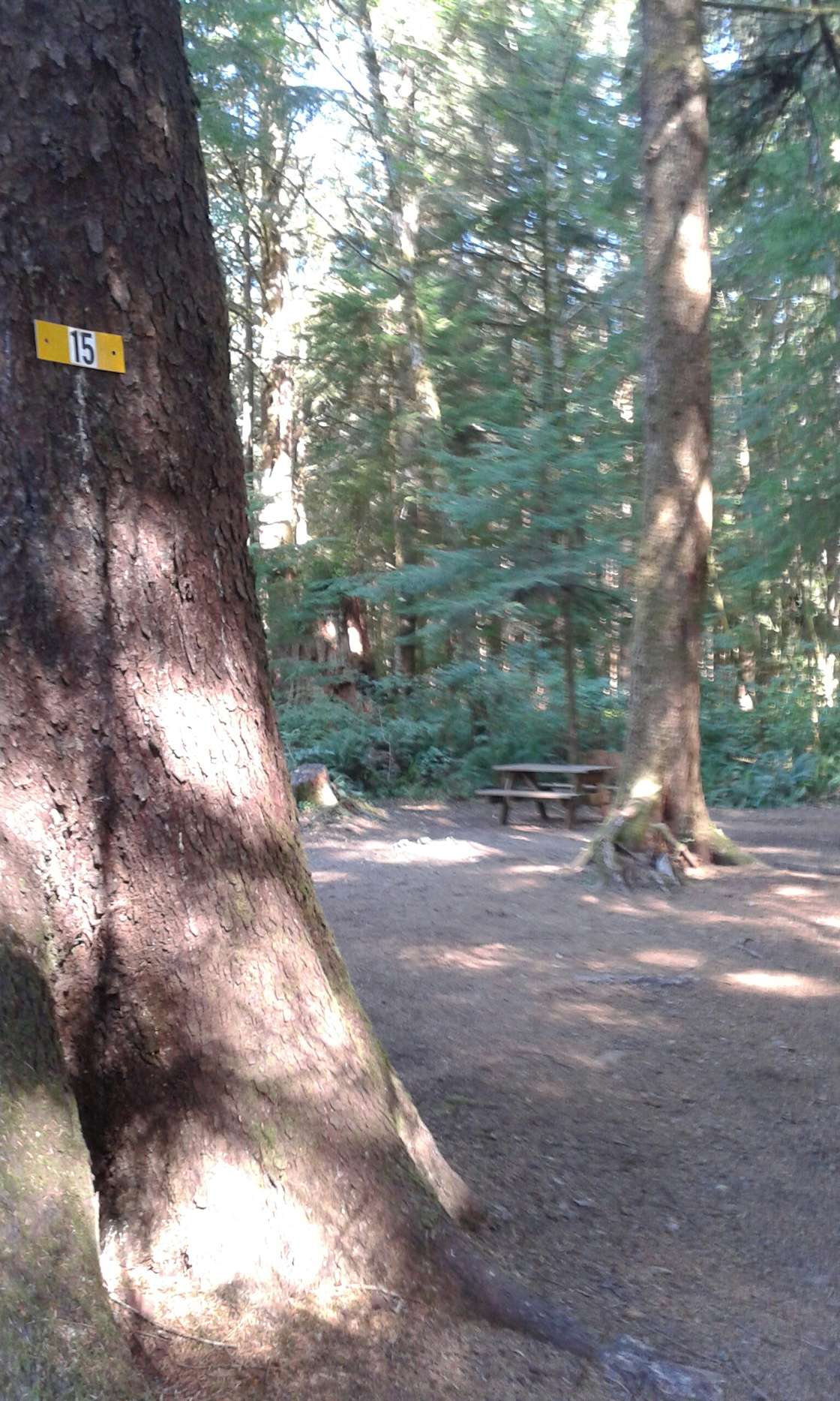 Three Rivers Resort - Hipcamp in Forks, Washington