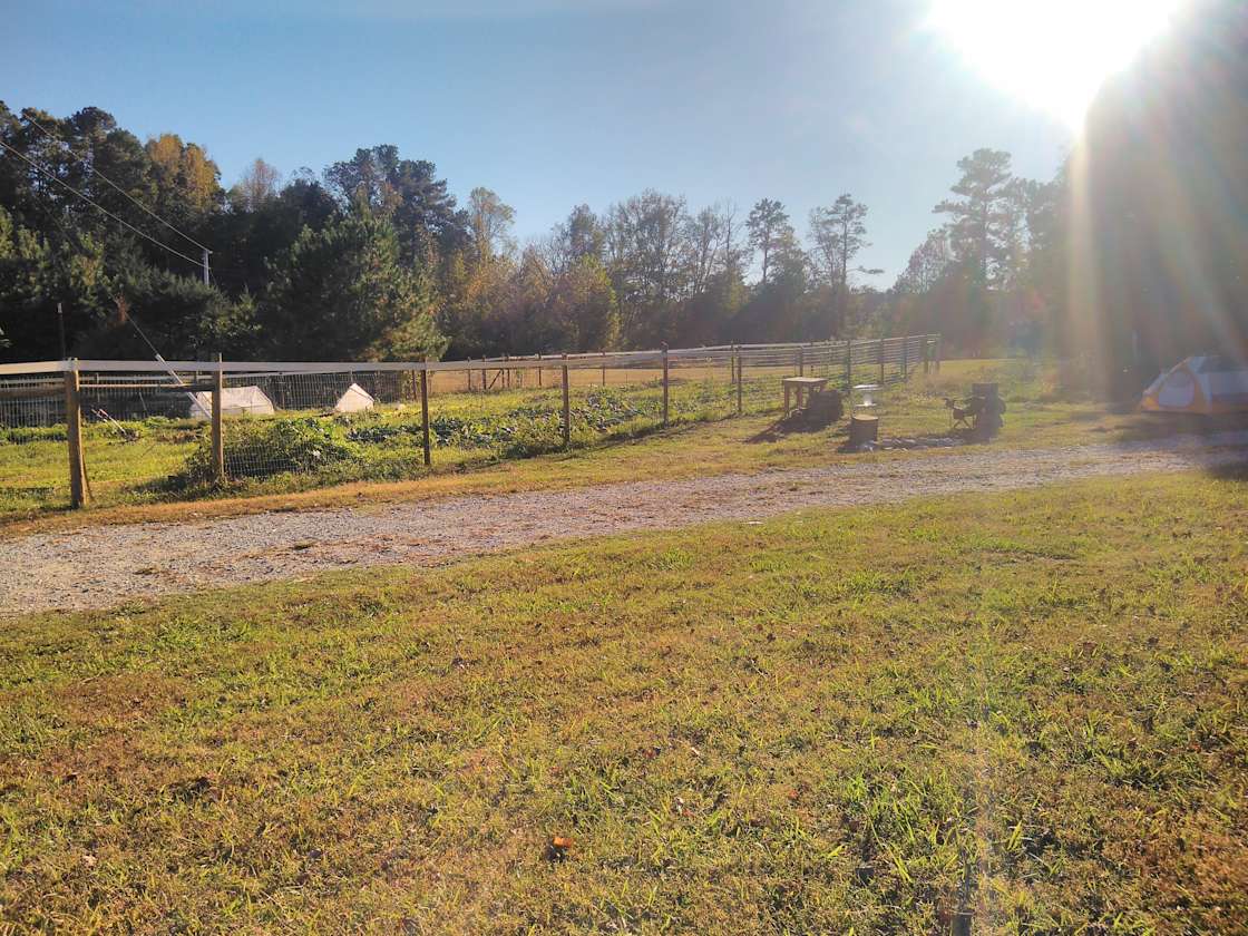 Spring Haven Farm - Hipcamp in Chapel Hill, North Carolina