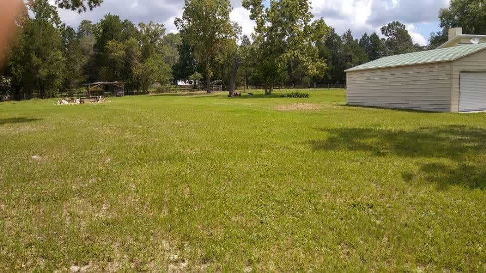 Nancy B.'s Mini Farm - Hipcamp in Dunnellon, Florida