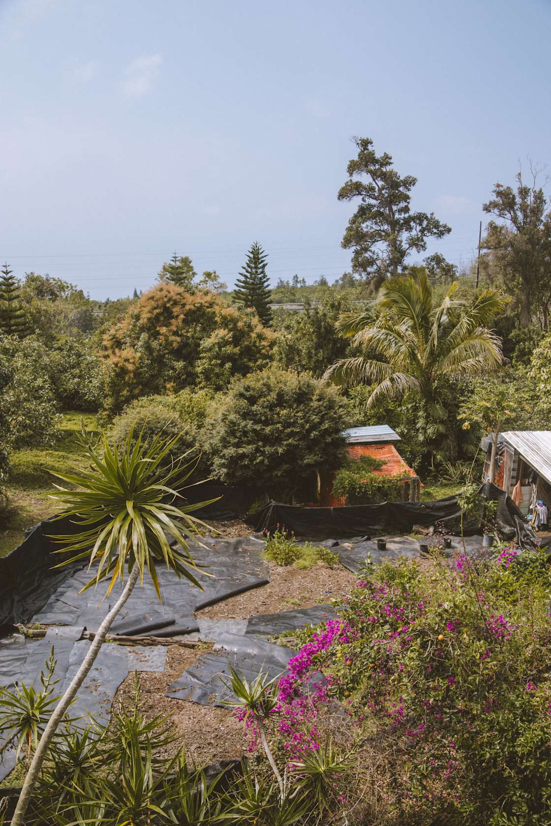 Guacamole Sunset - Hipcamp in Milolii, Hawaii