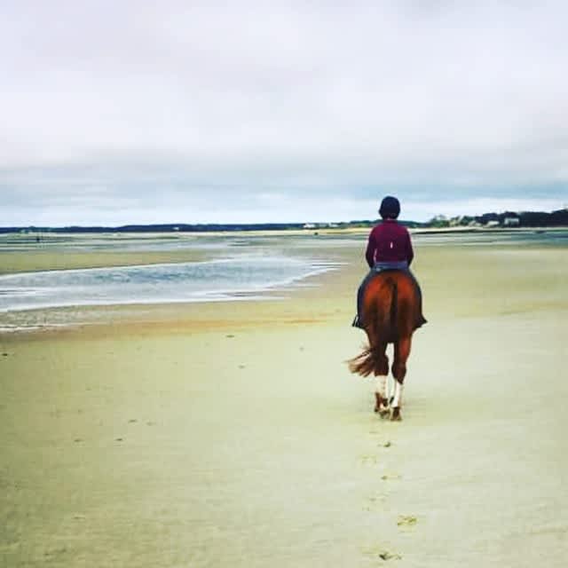 Cape Cod Horse Farm - Hipcamp in Harwich, Massachusetts