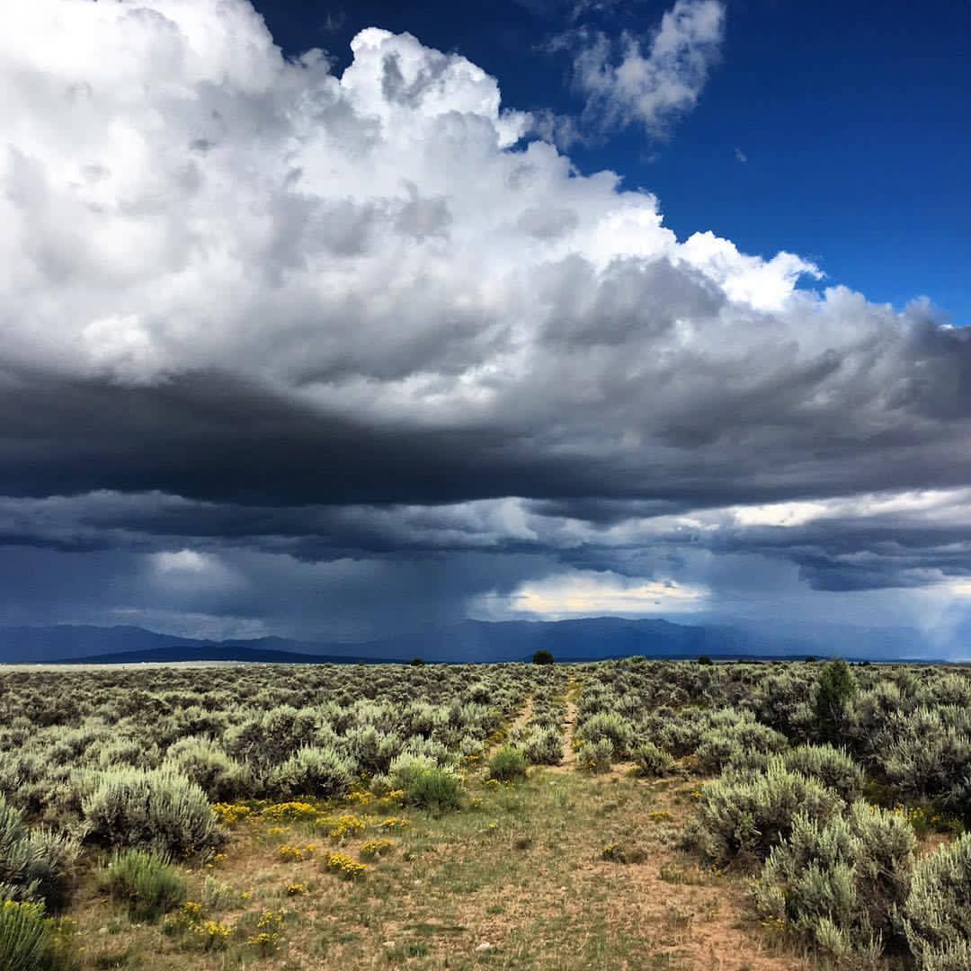 Rancho Conejo (Rabbit Ranch) - Hipcamp in Tres Piedras, New Mexico