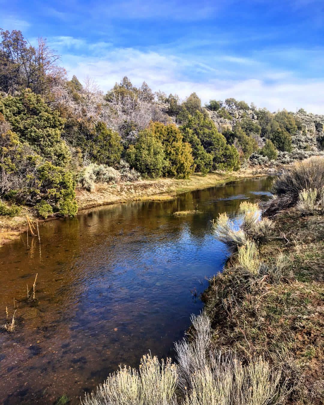 Rancho Conejo (Rabbit Ranch) - Hipcamp in Tres Piedras, New Mexico