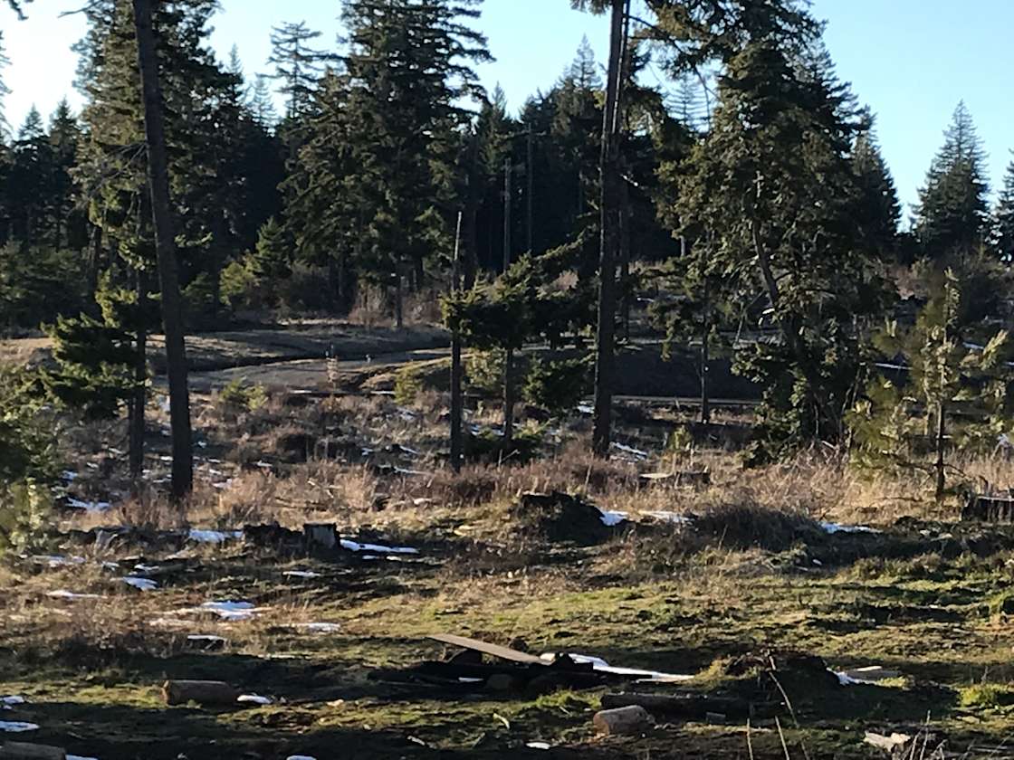 Firemoon Farms - Hipcamp in Lyle, Oregon