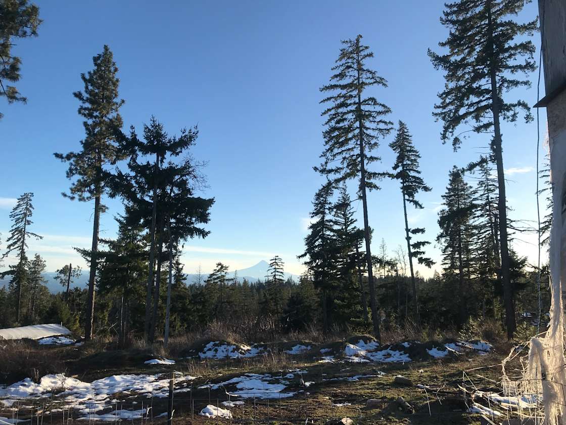 Firemoon Farms - Hipcamp in Lyle, Oregon