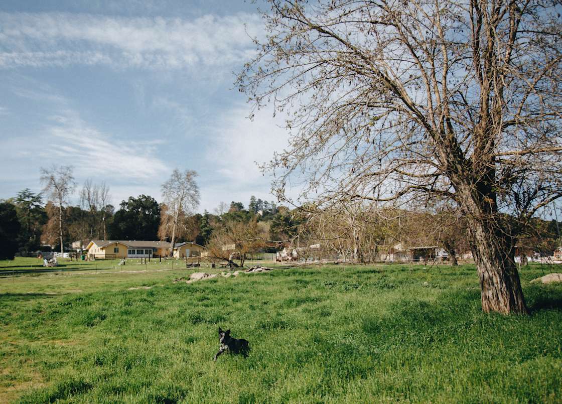 Chick-O-Farm - Hipcamp in Atascadero, California