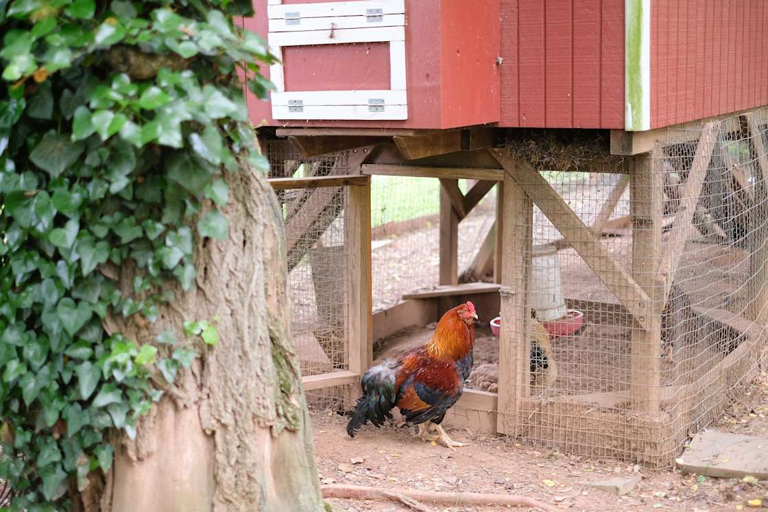 Button Farm - Hipcamp in Germantown, Maryland