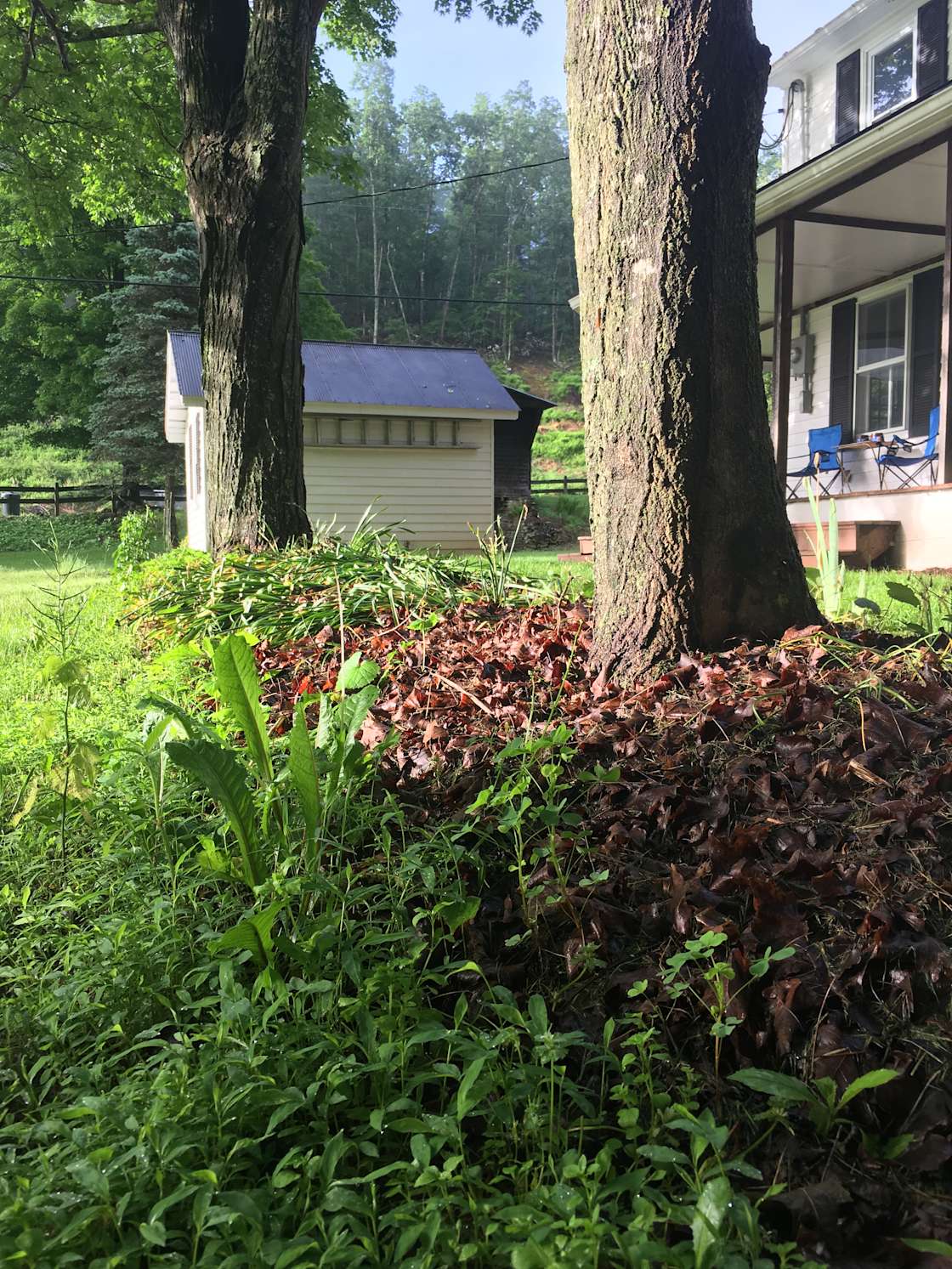 SpitFire Hollow - Hipcamp in Mathias, West Virginia