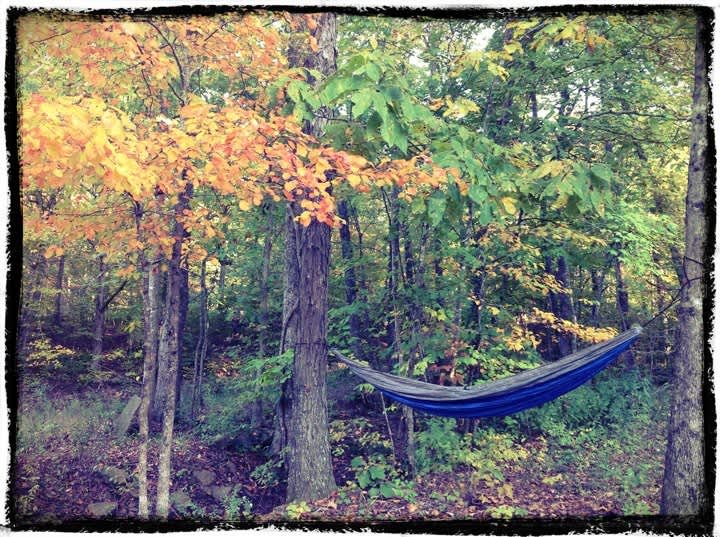 Camping Kings - Hipcamp in Combs, Arkansas