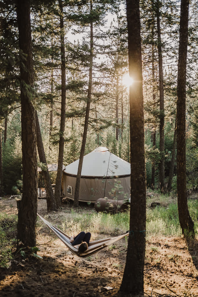 SPOKANE CAMPING In The Forest - Hipcamp in Spokane, Washington