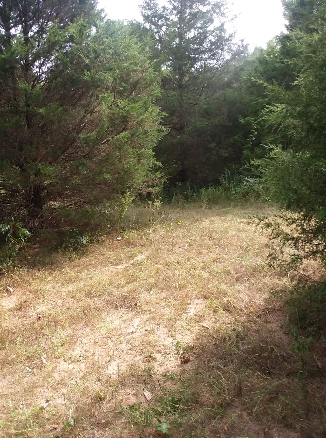 Conveniently Middle of Nowhere. - Hipcamp in Enville, Tennessee