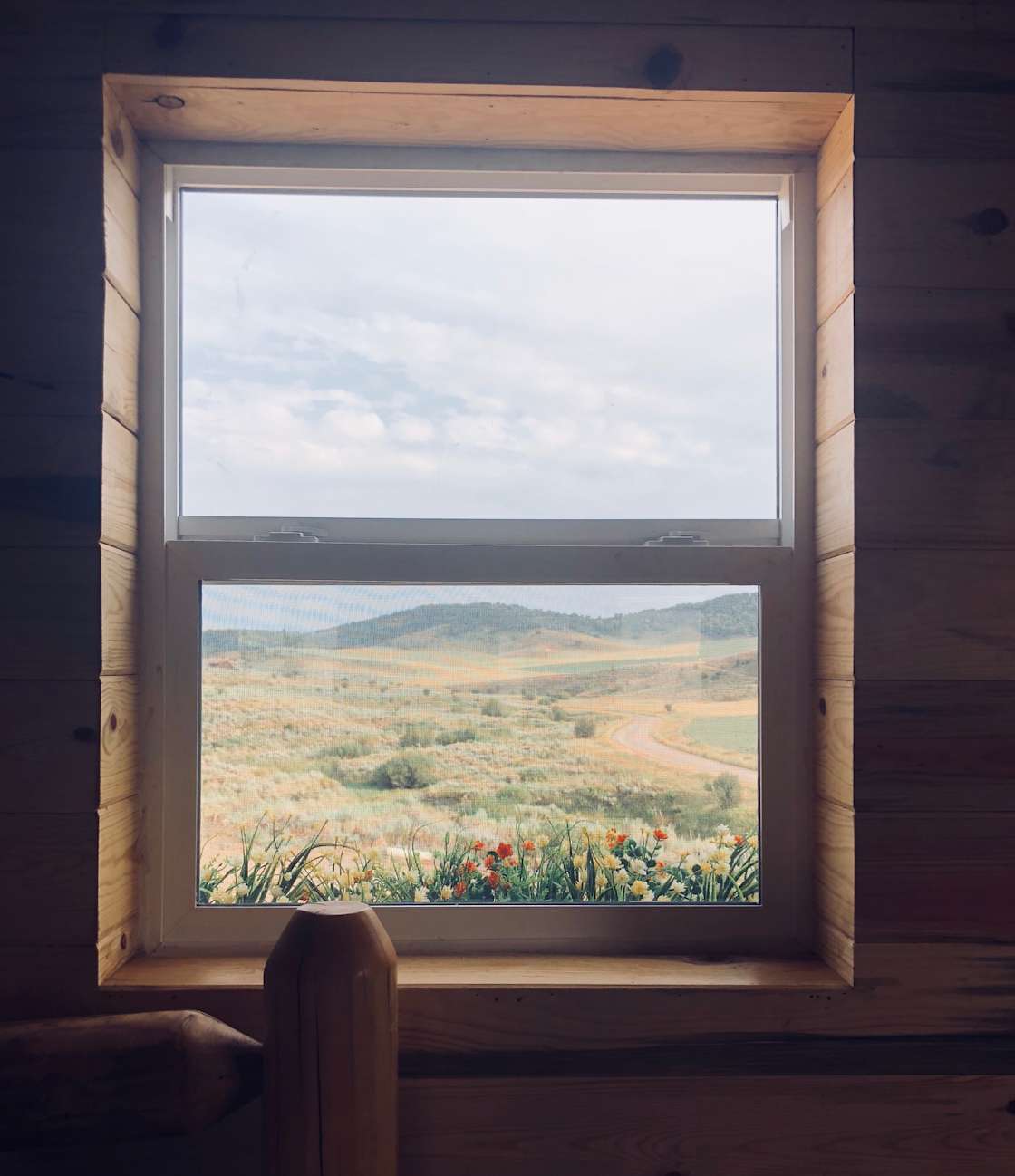 Sleeping Giant Homestead Cabin - Hipcamp in Steamboat Springs, Colorado