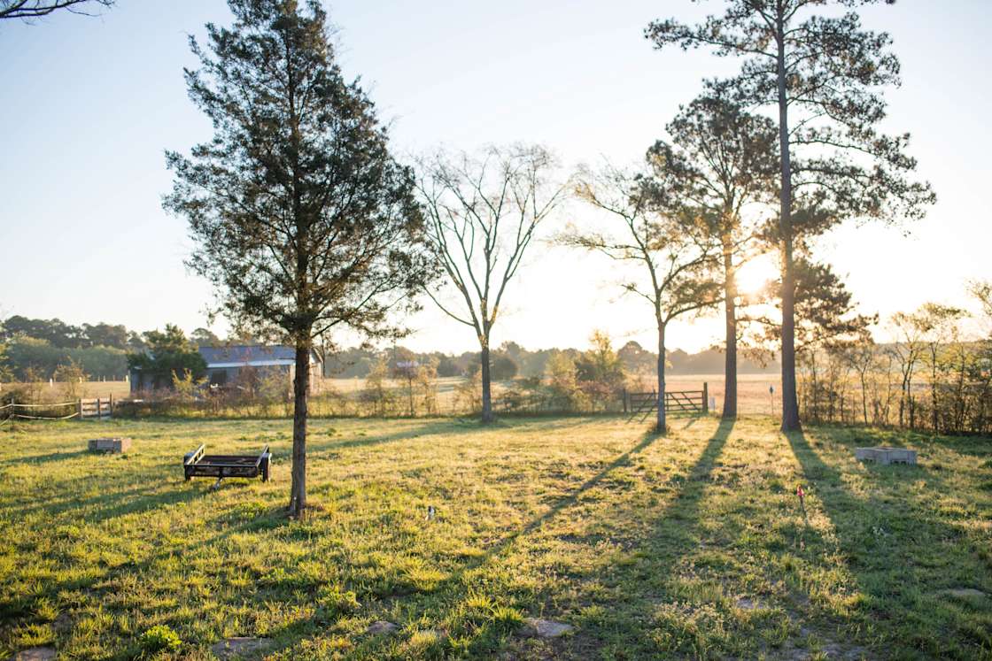 5D RANCH - Hipcamp in Navasota, Texas