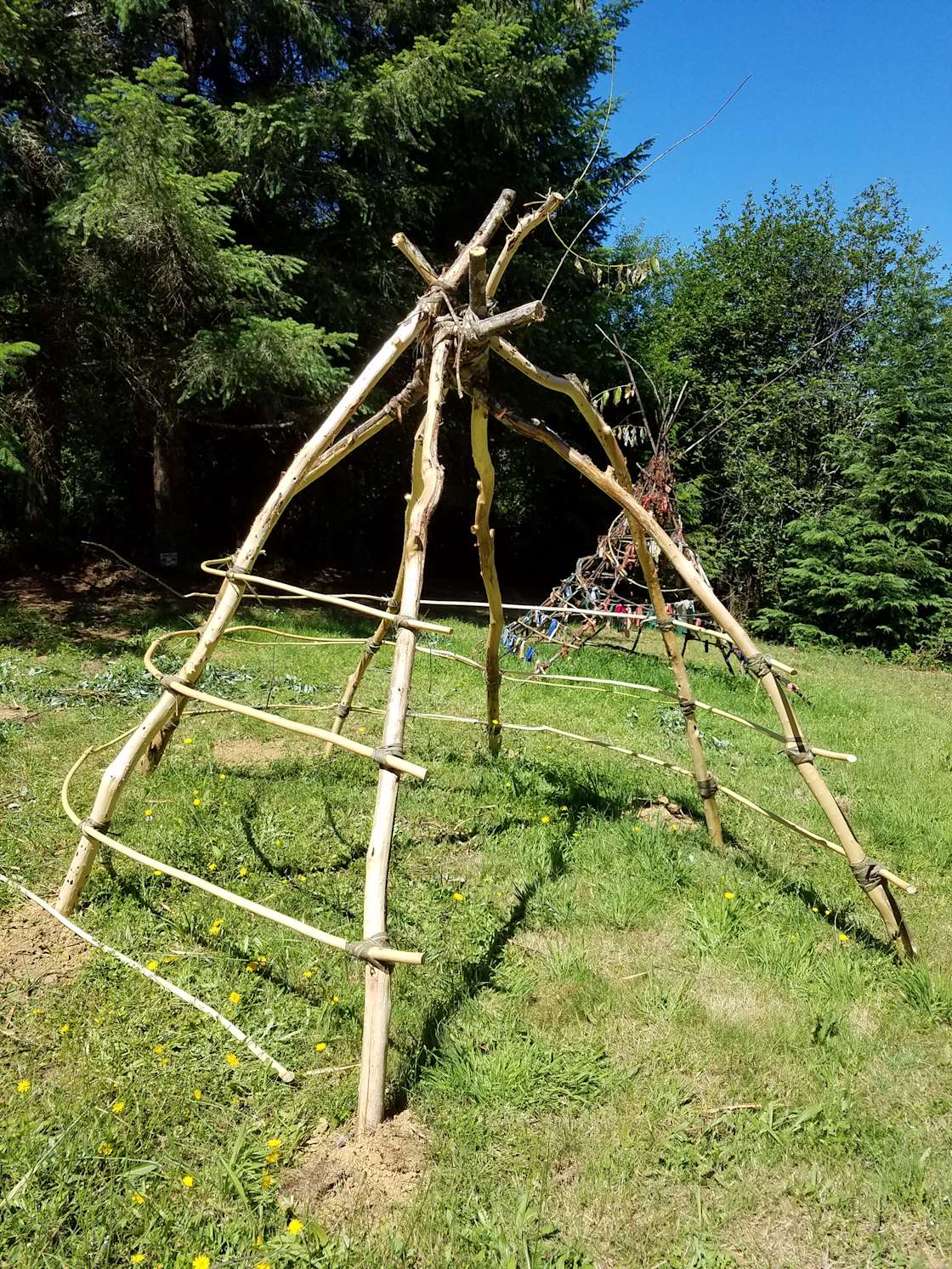 The Aloha Ranch - Hipcamp in Cheshire, Oregon