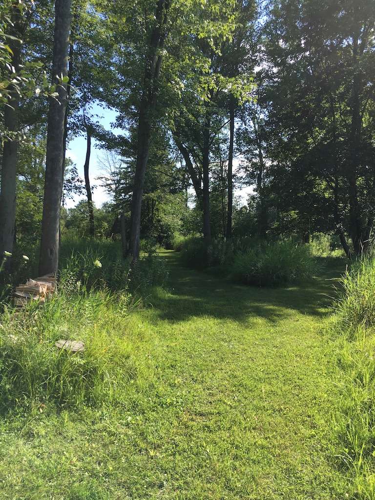 Songdog Meadows - Hipcamp in Angola, Indiana