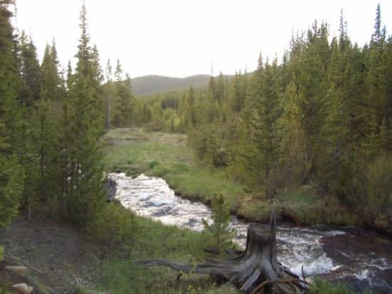 Silver Creek Ranch in Alice, CO - Hipcamp in Idaho Springs, Colorado