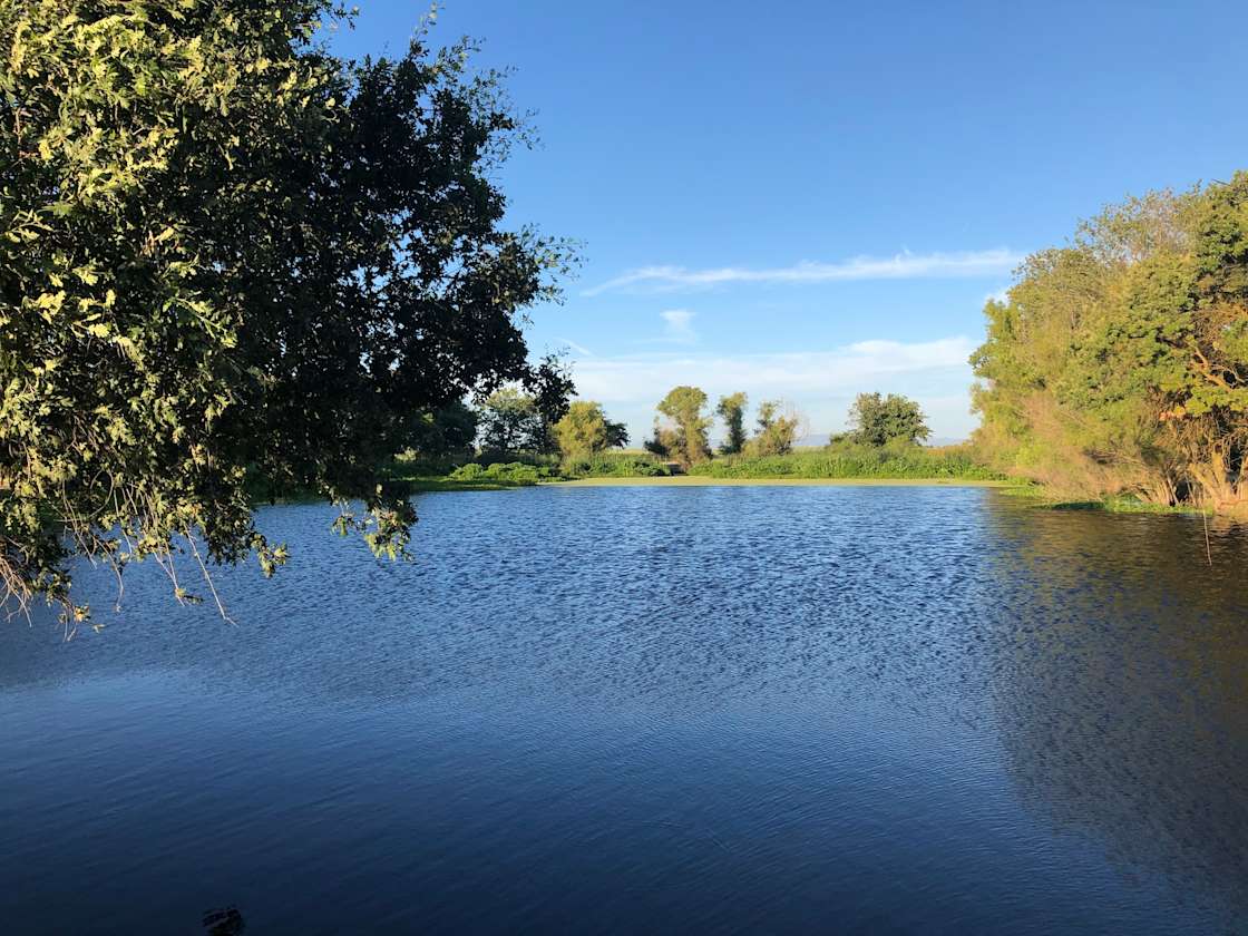 Walden Ranch - Hipcamp in Linden, California