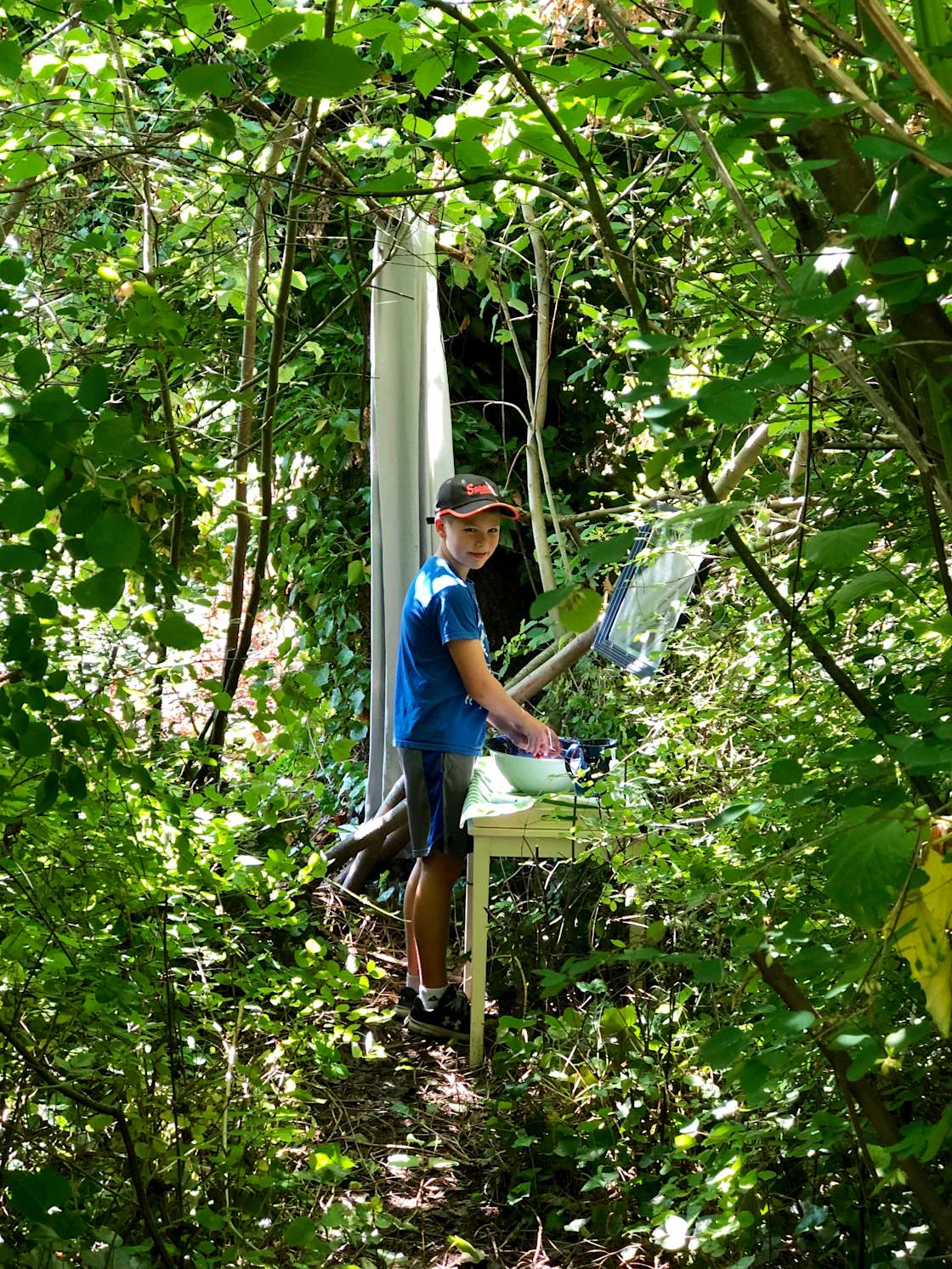 Camp Three Tree Point - Hipcamp in Burien, Washington