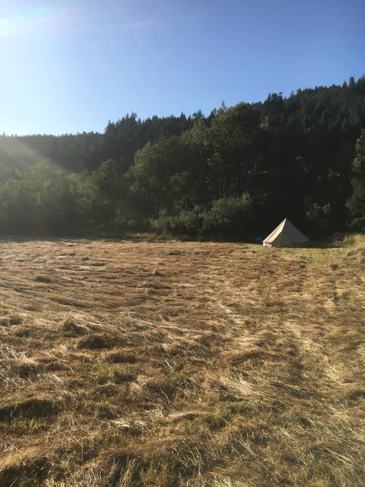 River Witch Soulpad Tent Camp - Hipcamp in Scotia, California