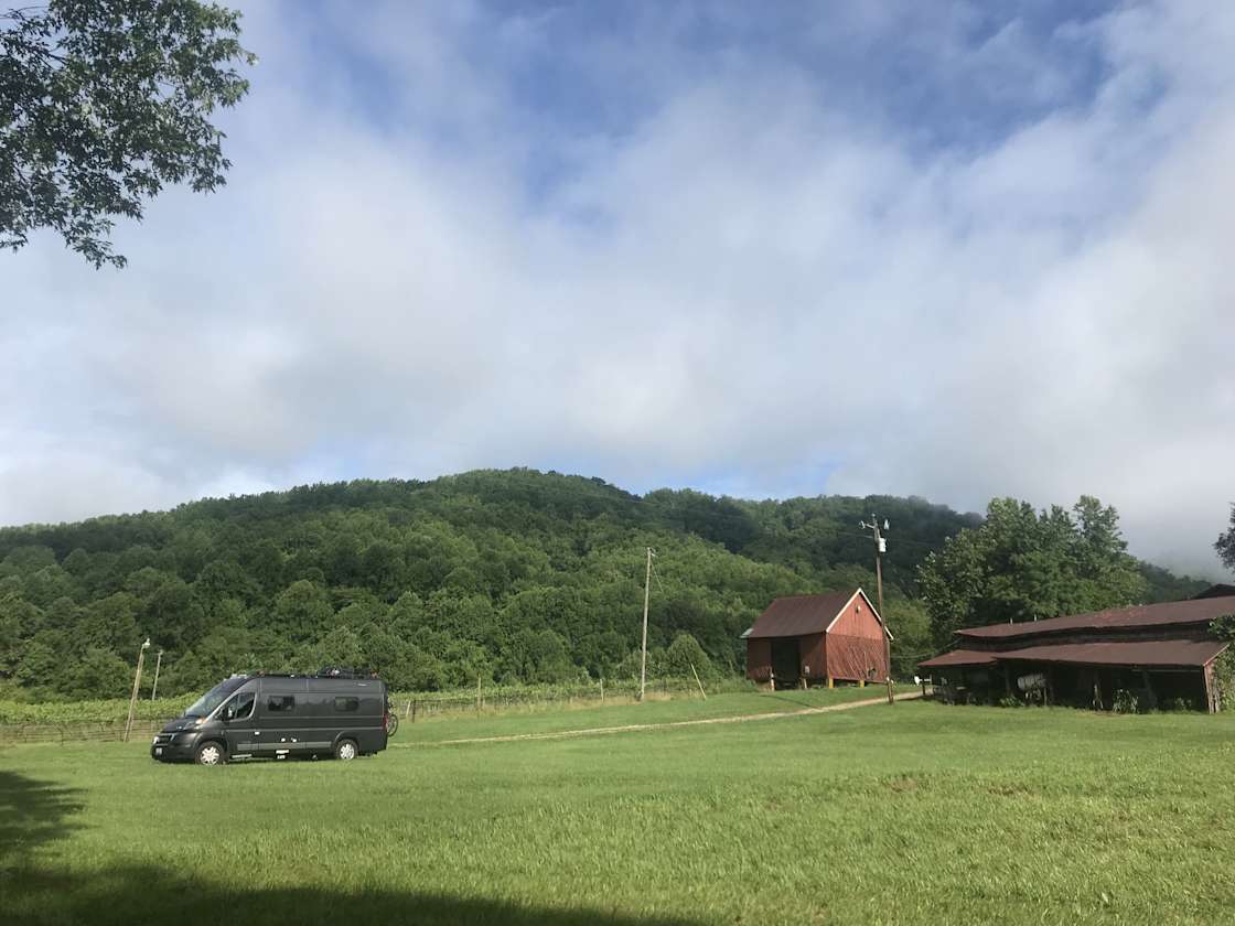 Mountain Cove Vineyards - Hipcamp in Lovingston, Virginia