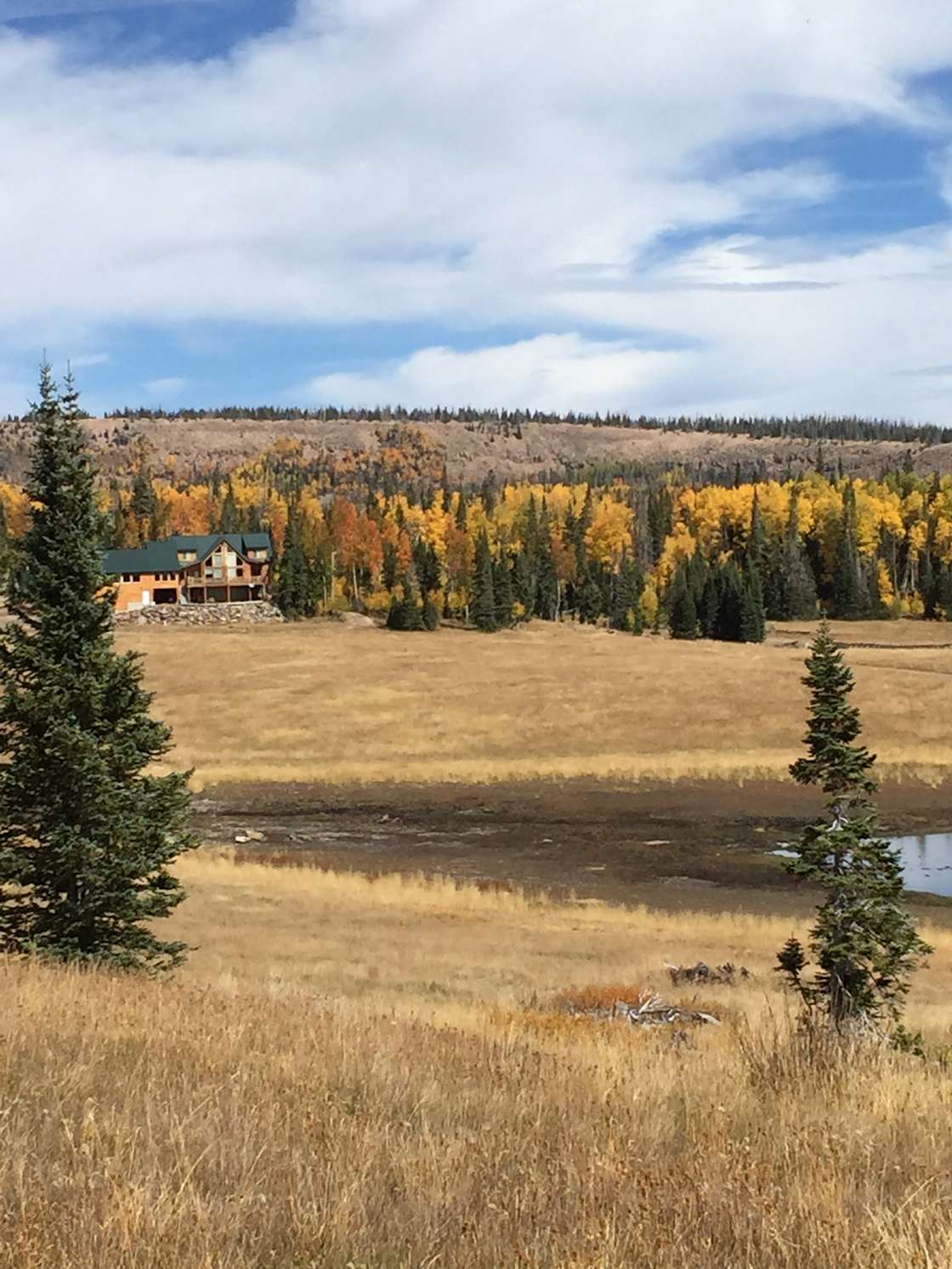 Cedar Breaks Reber Property - Hipcamp in St George, Utah