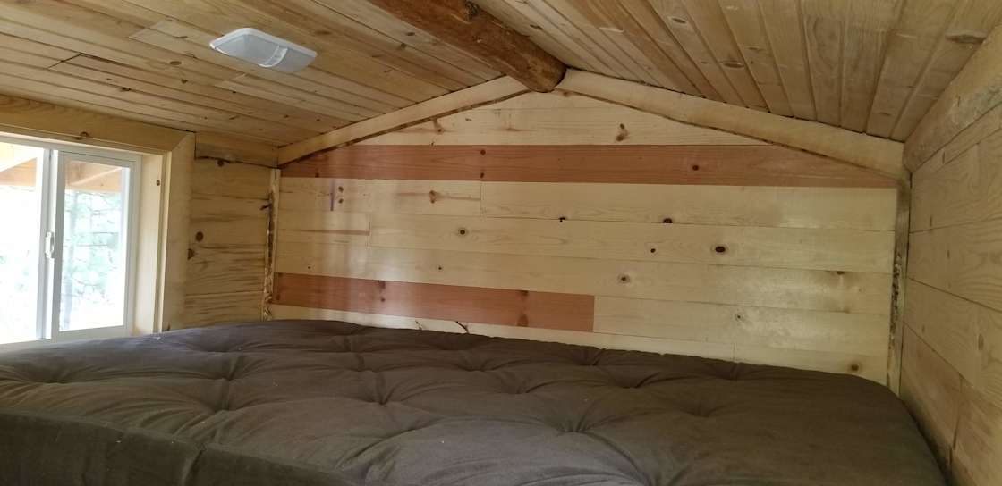 Tiny Woodsy Cabin - Hipcamp in Drake, Colorado