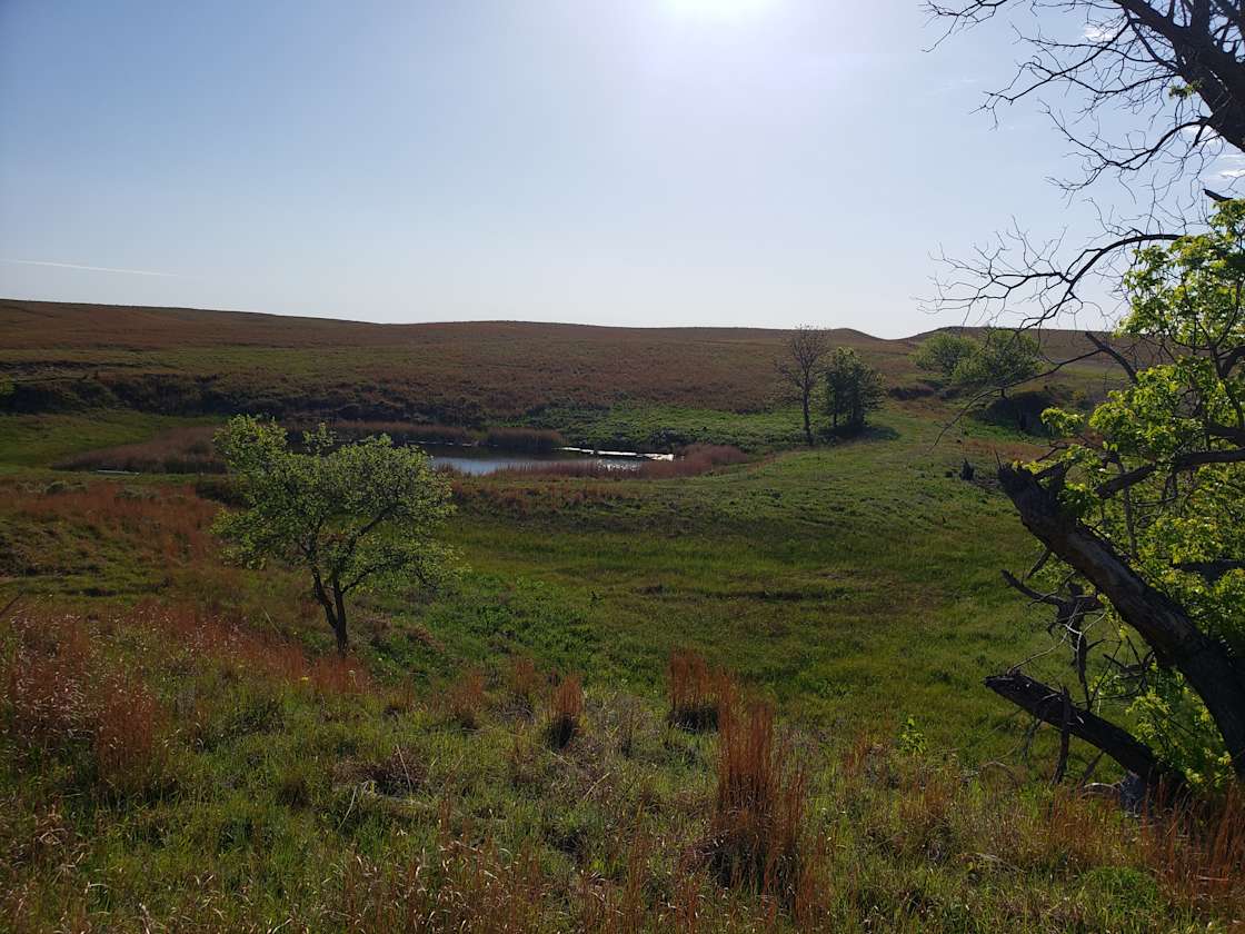 Alexander Ranch - Hipcamp in Sun City, Kansas
