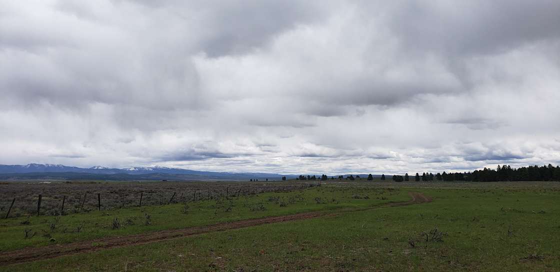 Crown Cattle Company - Hipcamp in Seneca, Oregon