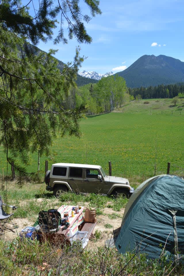 Flyway Farm & Forest - Hipcamp in Spillimacheen, British Columbia