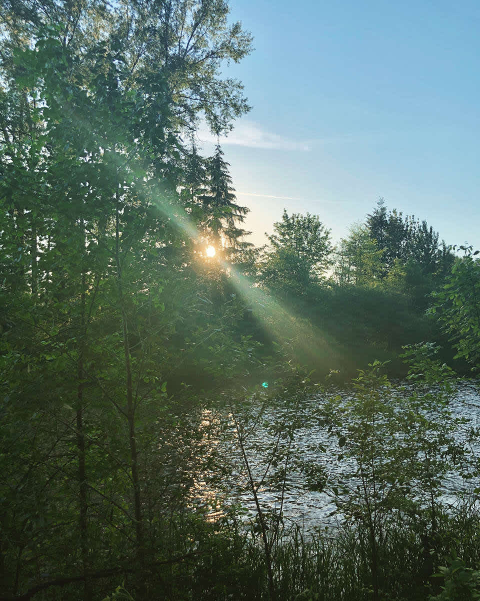 Molalla Ripple - Hipcamp in Molalla, Oregon