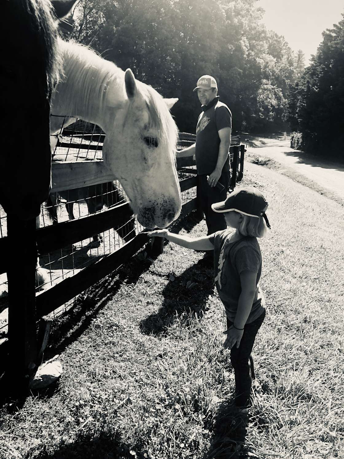 White Dog Farm camping - Hipcamp in Cleveland, Georgia