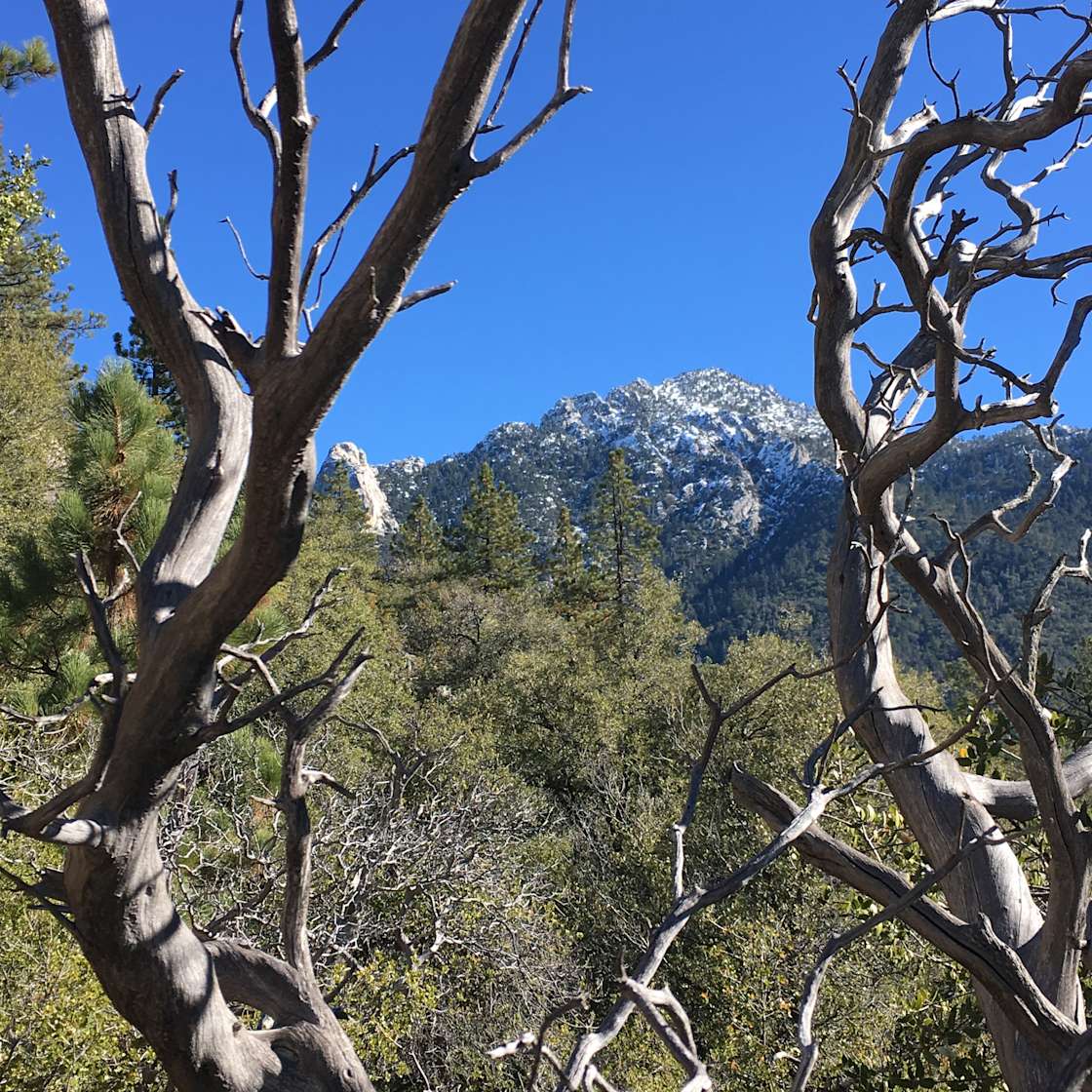 Idyllwild Camping Adventure - Hipcamp in Idyllwild Pine Cove, California